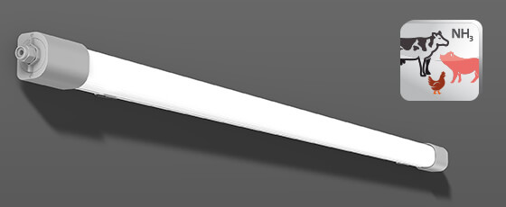 Rzb Lighting France Planox Eco | Rexel France